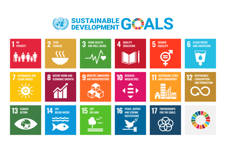 What is Sustainable Development Goal 12? | Ormazabal
